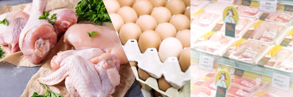 CENTRAL POULTRY PROCESSING CO., LTD. by CENTACO